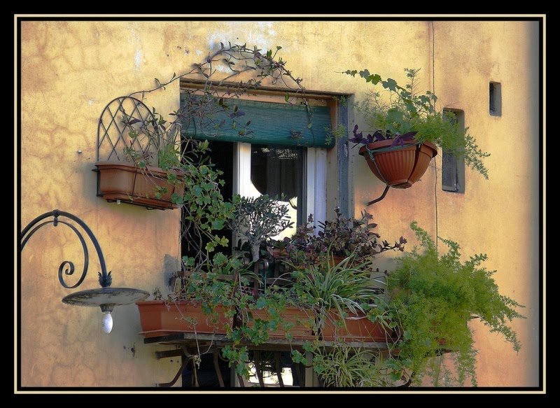 Ewa in the Garden: 13 Best Window Box Ideas