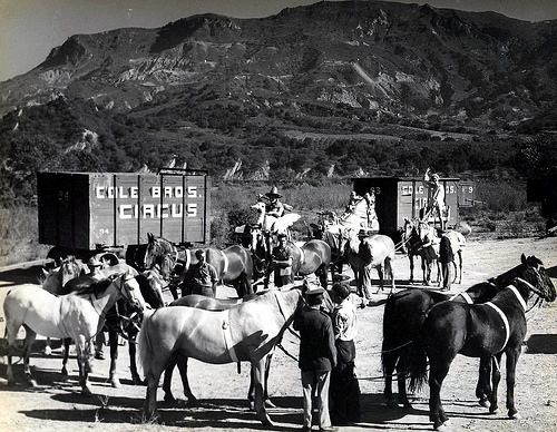 Buckles Blog: #13 Horses