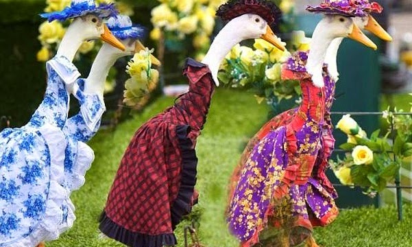 Goose Parade ~ Nature Conservancy