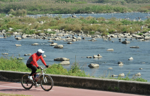 The 4 Major Rivers Restoration Project: Hoping Green Revolution with ...