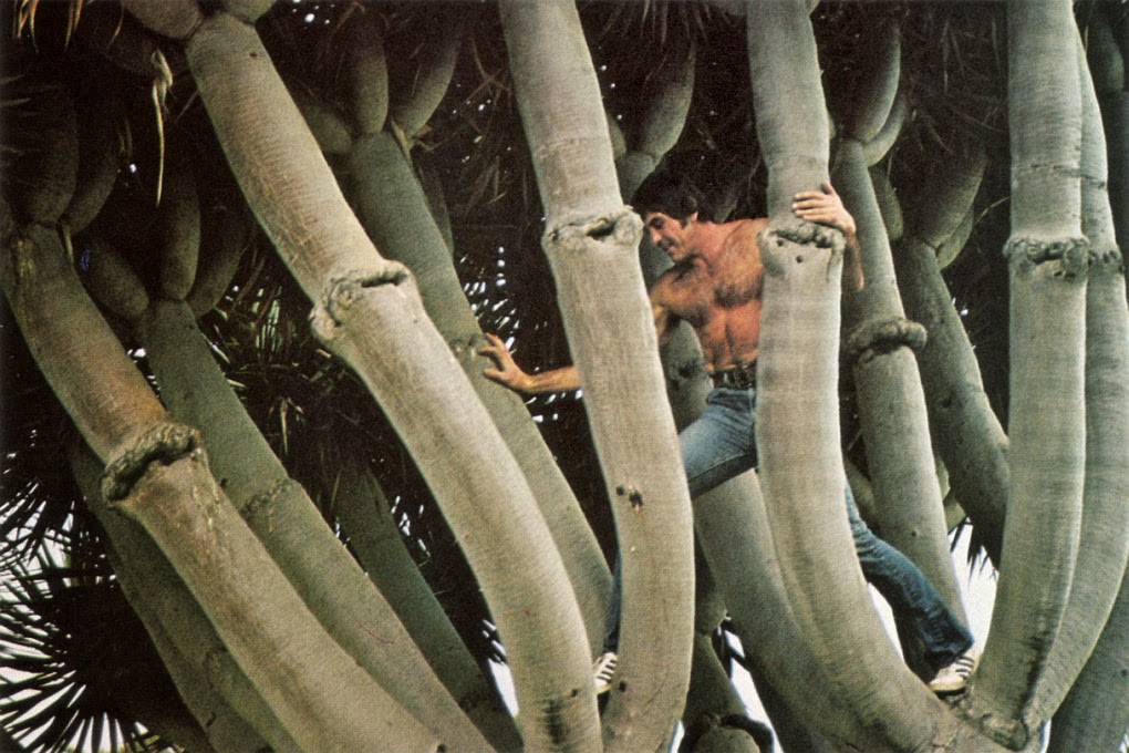 Welcome to my world.... : Nick Dimitri - VIVA - January 1974