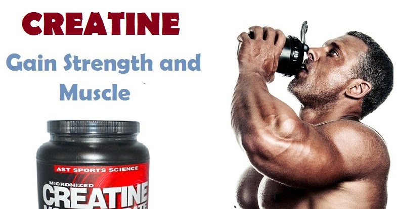 Muscle Palace: Gain Muscle and Strength Fast with Creatine Supplement