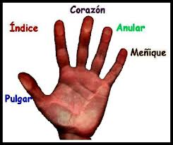 Departamento de Lengua Carmelitas ESO: Texto instructivo: La oración de ...