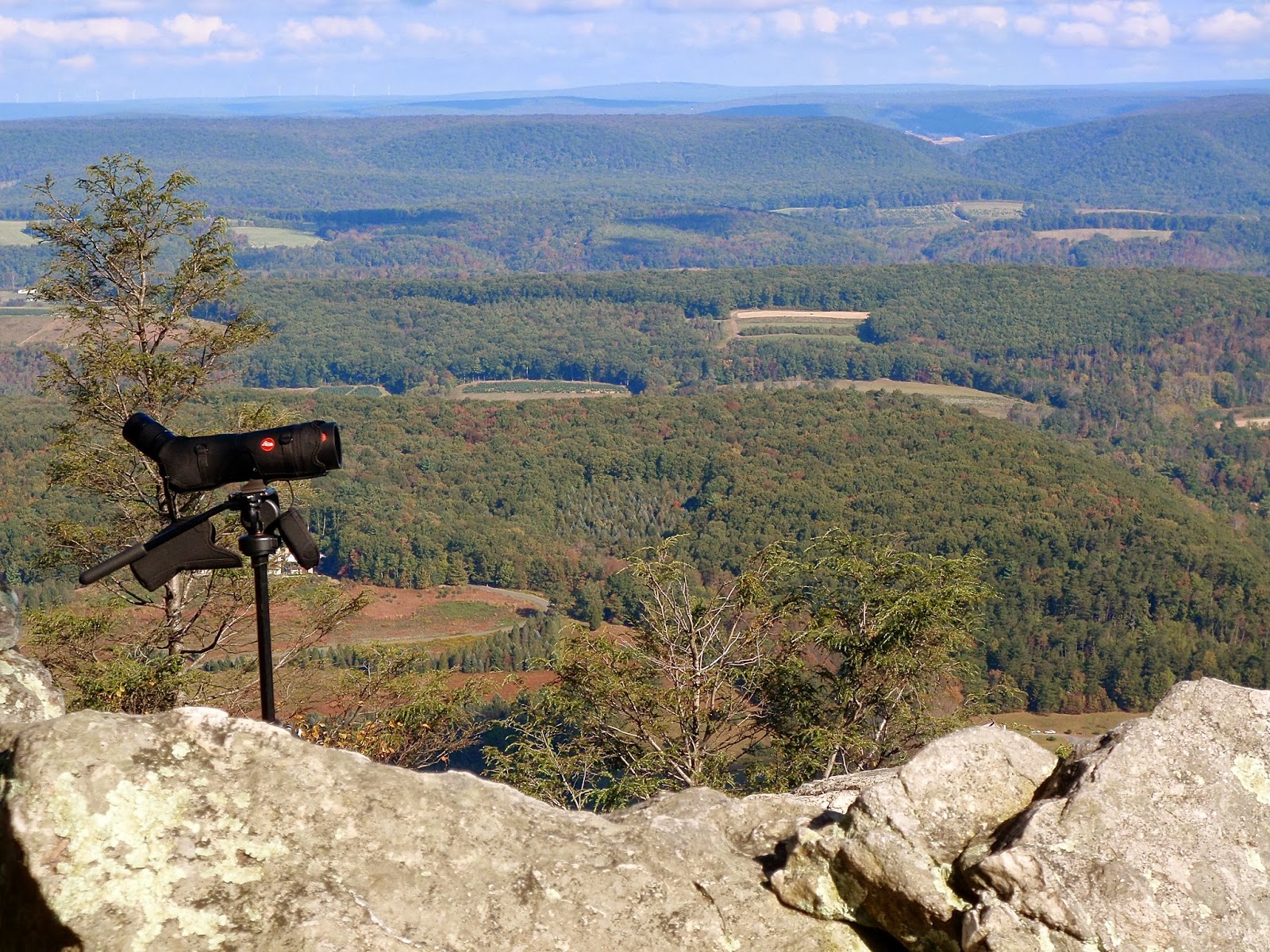 One Day in America: Hawk Mountain Sanctuary, Kempton, Pennsylvania