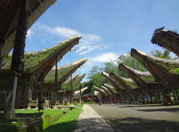 Rumah Adat Toraja