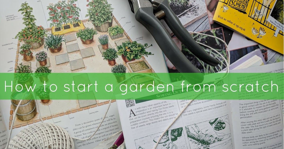 JibberJabberUK: How to start a garden from scratch