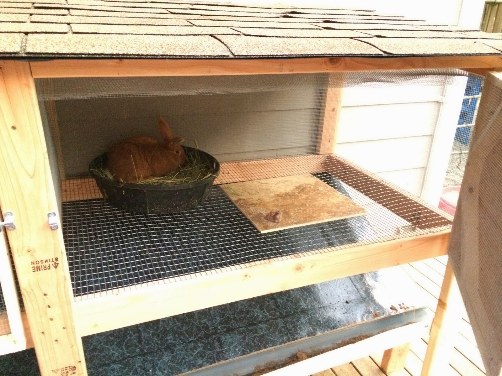 Aisling Farms: Blog Post: Building the Rabbits Hutches