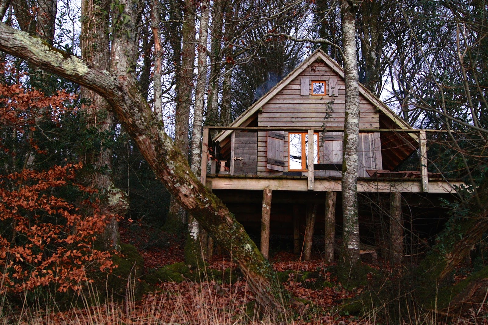 Une cabane en forêt - Louise Madelaine