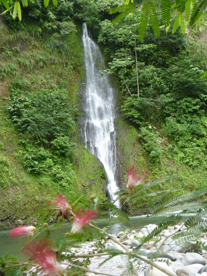 Culturama: REMONTANDO LOS CAUCES DEL GARICHE...
