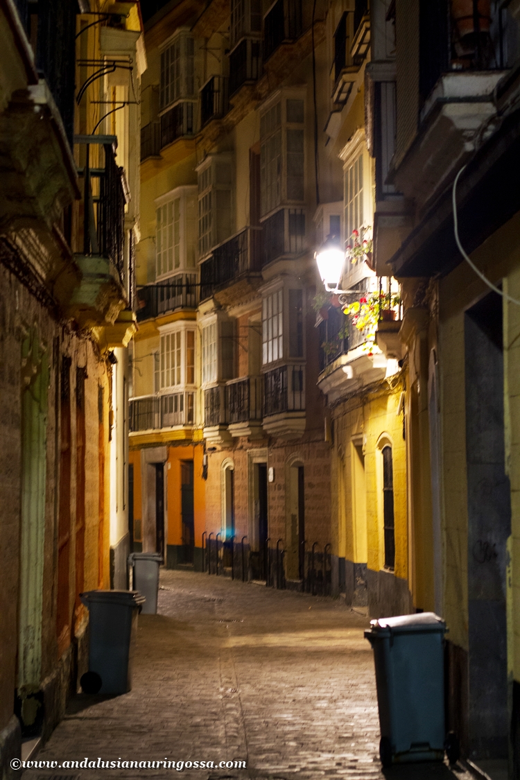 Under the Andalusian Sun : Cadiz by night