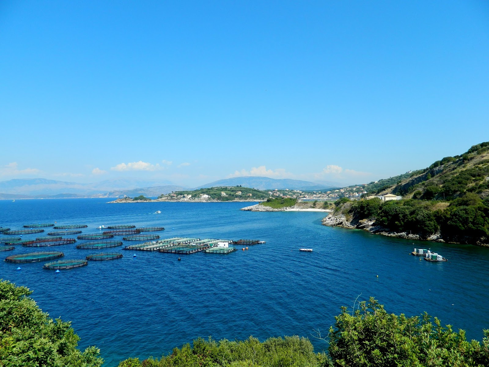7 Things To Do In Roda, Corfu