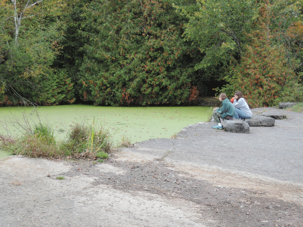 Chazy Reef - Part II ~ Hudson Valley Geologist