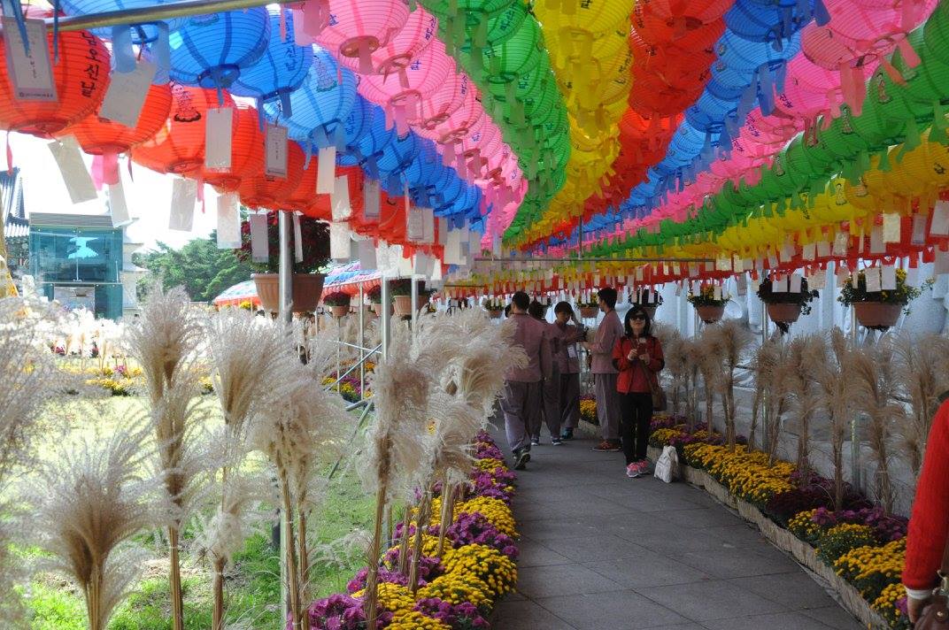 Must-go in Daegu – Temple stay at Donghwasa Temple, the biggest temple ...
