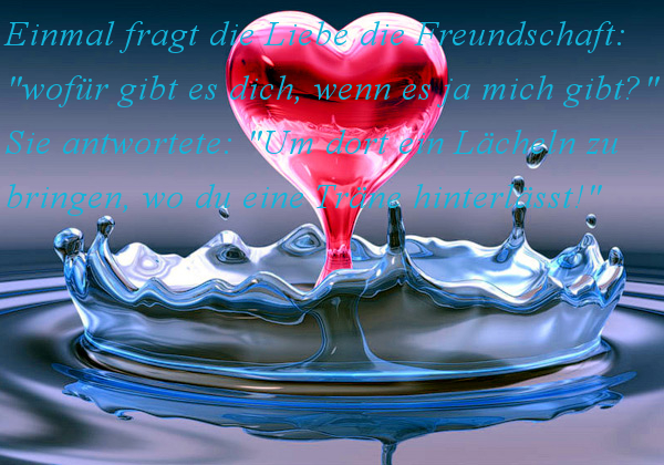 Wonderworld: Freundschaftsspruch des Monats!