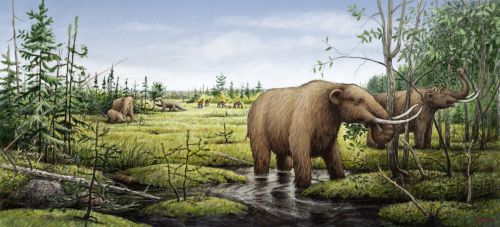 Uma Megafauna brasileira - PaleoPost Brasil - Paleontologia brasileira
