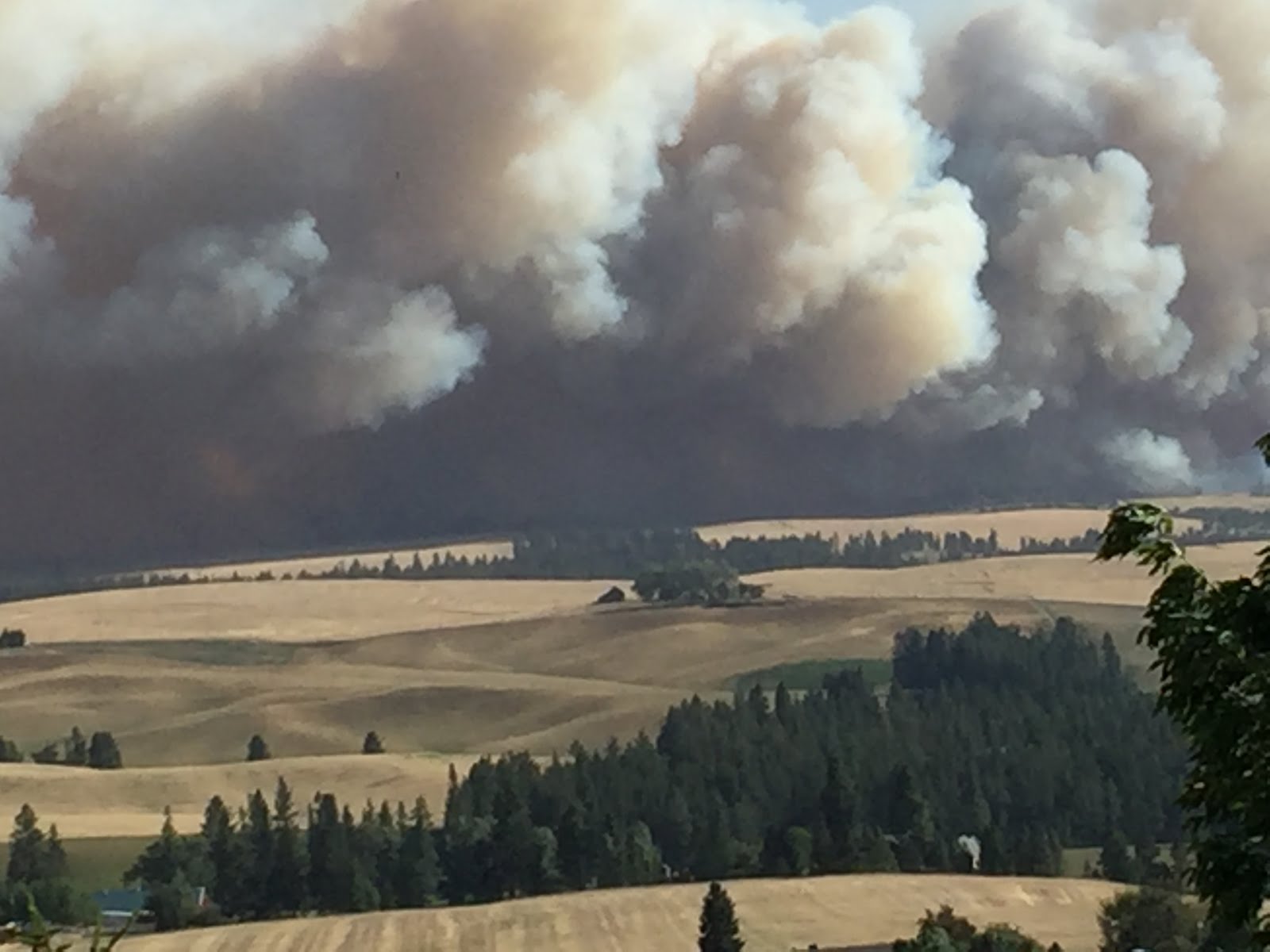 Evergreen Railroad Club: Close up views of Palouse fire