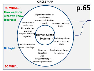 Welcome to Mr.Chapman's Biology Class Blog - Come on in, the learning ...