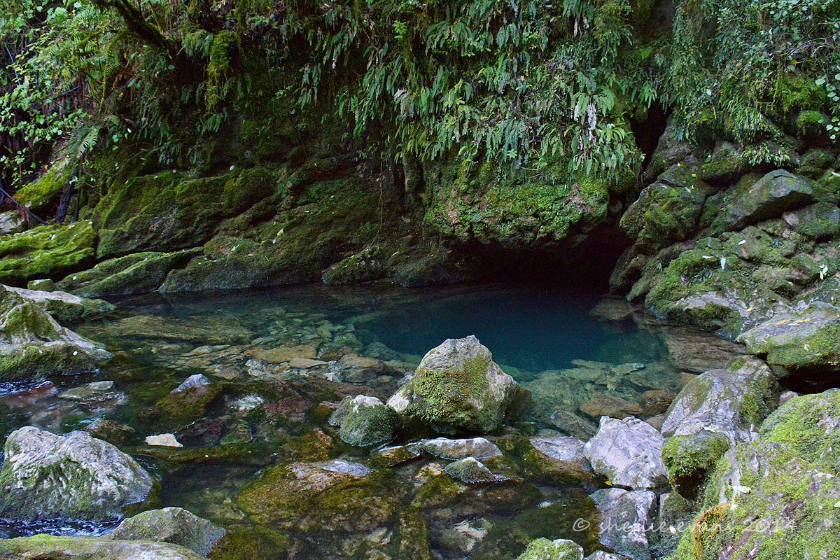 Two Go Tiki Touring: A Journey Through Takaka Hill