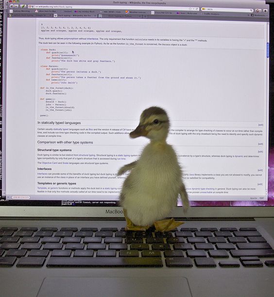 Duck Casting Framework / Duck Typing