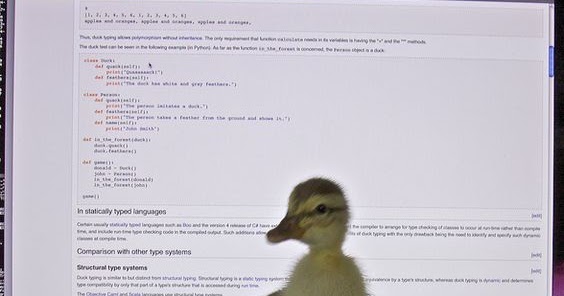 Duck Casting Framework / Duck Typing