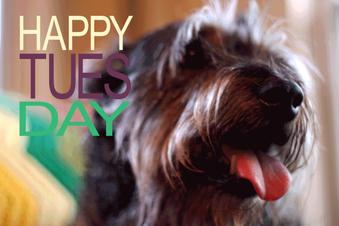 Yeah Vintage: HAPPY TUESDAY!