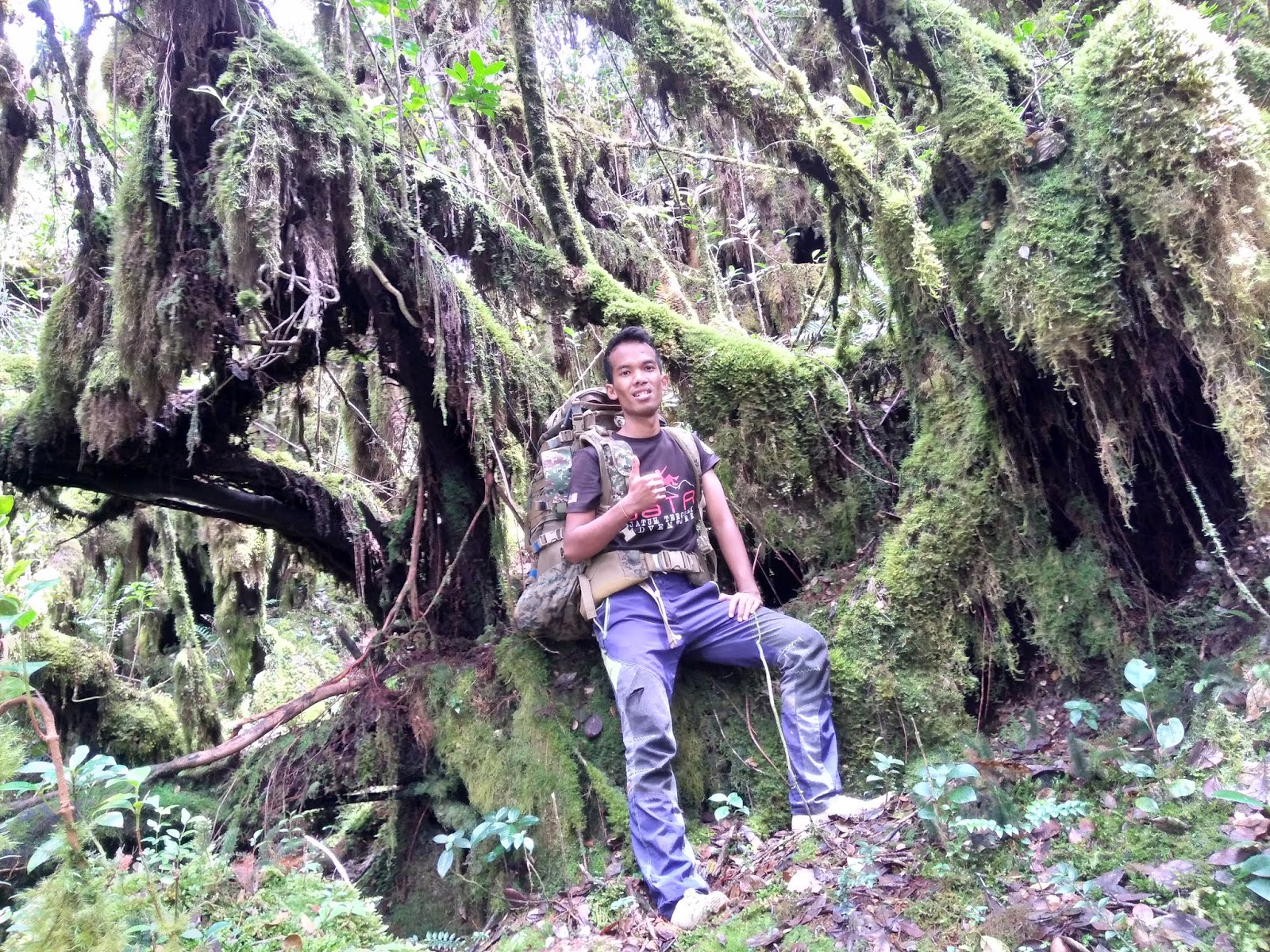 Ekspedisi Gerah Bilah Bieh via Lasah