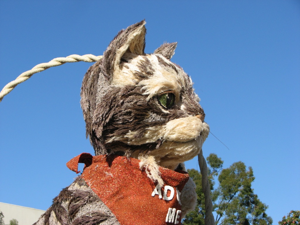 THE HAPPY ONES: Lukas' Rose Parade Float Report