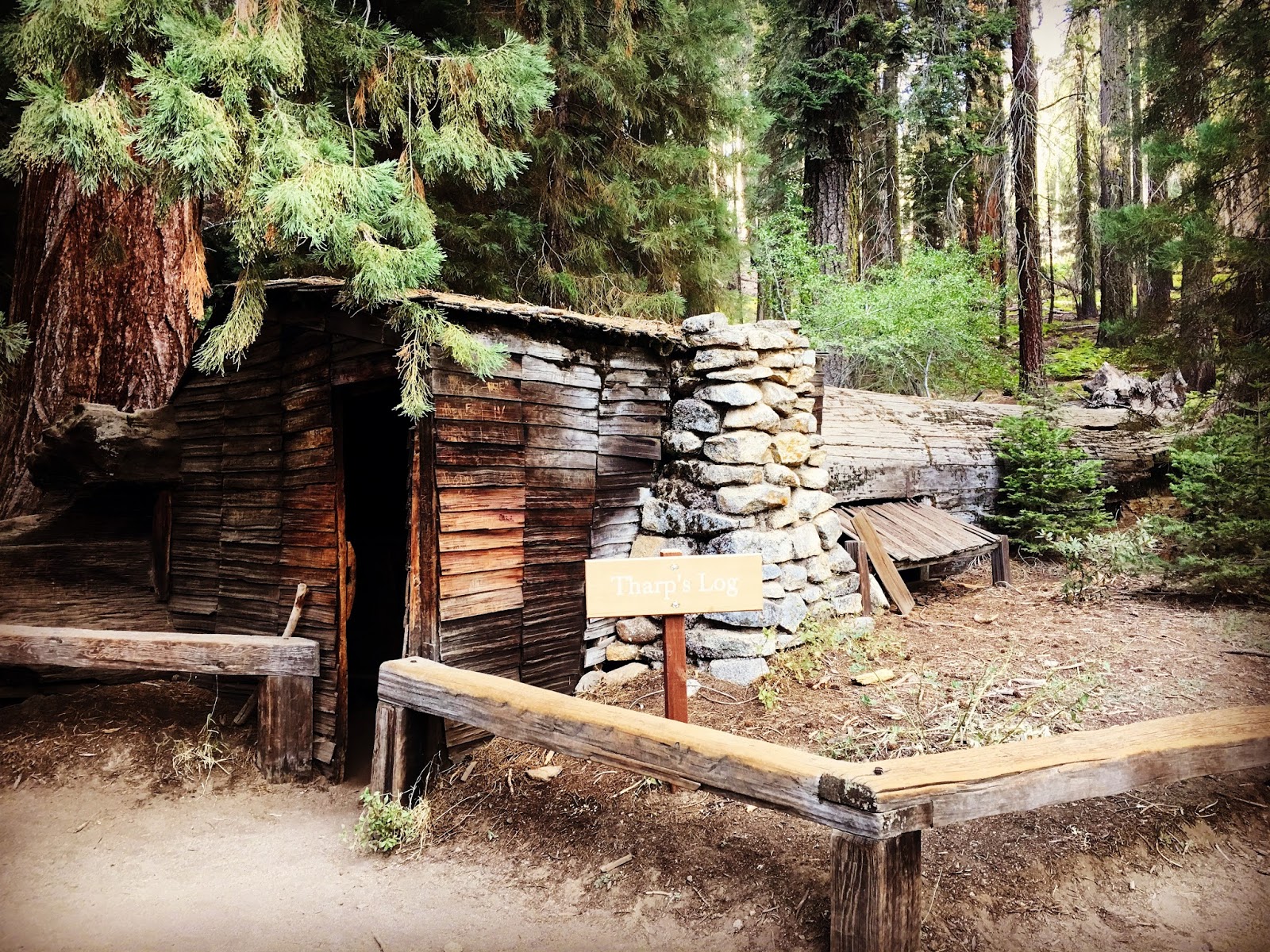 Sensory Overload: Sequoia National Park (Giant Trees and Marble Caverns)
