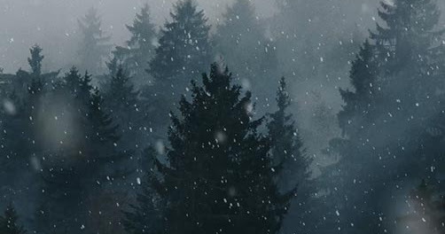 Animated Forest Snow Wallpaper Engine