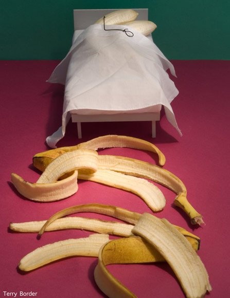 Fun Duniya: The Twisted Humor Of Terry Border