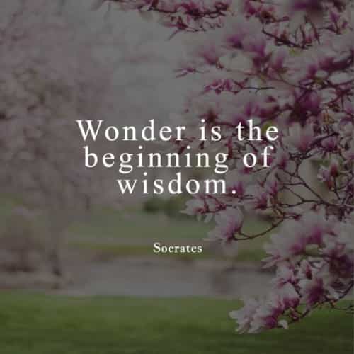 60 Famous quotes and sayings by Socrates