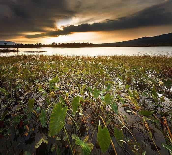 Asan Barrage- An Imperative Part of Dehradun - Namaste India Trip - A ...