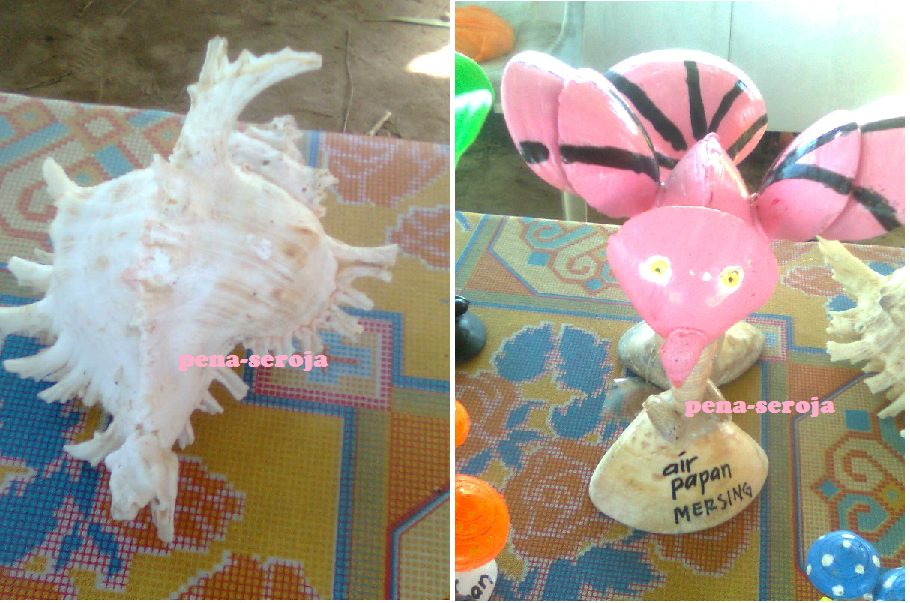 Pena Seroja: LAGI HASIL KRAF DARI CENGKERANG LAUT