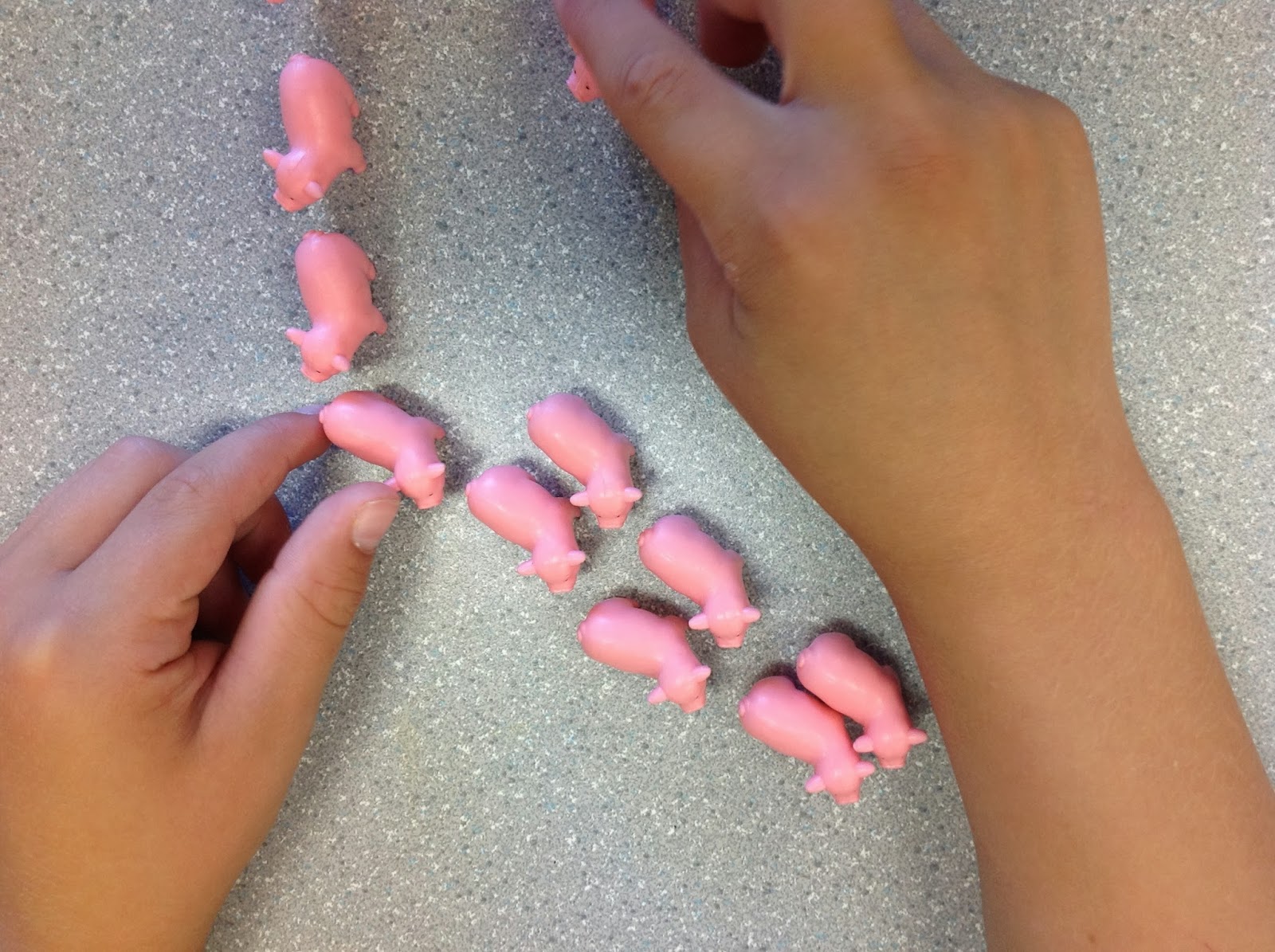 Learn and Explore in Room 204: Counting Collections