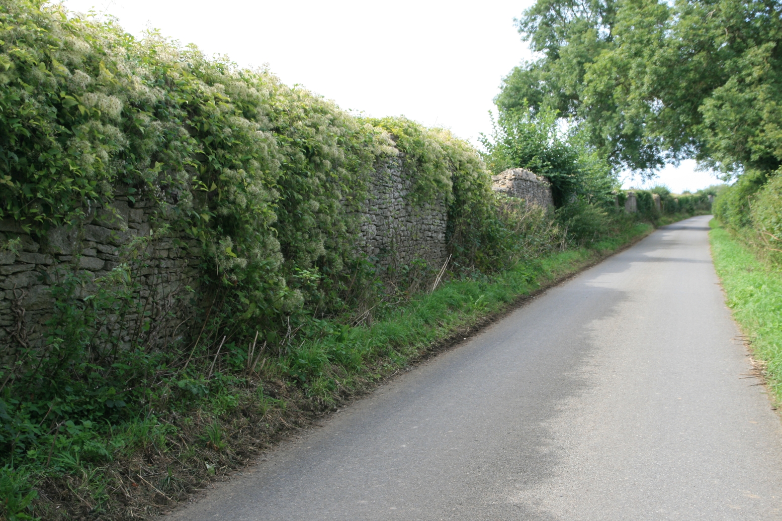 Walking Dorset's gridsquares: Stalbridge - 30th August 2018