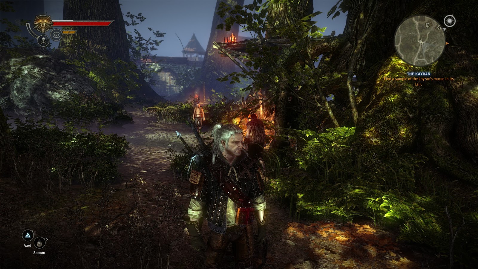 The Nocturnal Rambler: The Witcher 2 Screenshots & Wallpapers (Part 1)