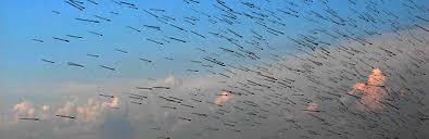 Vinay Devanna: Astra's (Weapons) used in Hindu epics