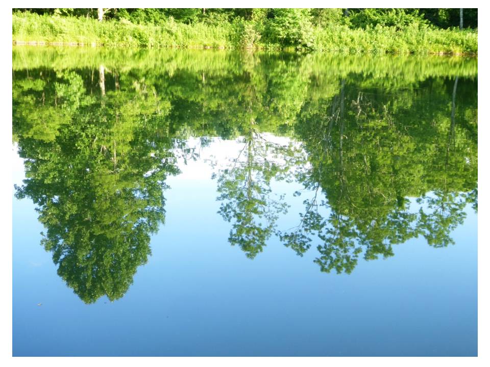 Pondview Guesthouse: Pond Ripple Recipe