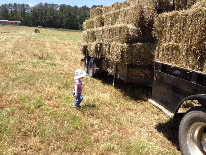 Adventures of Starting Over