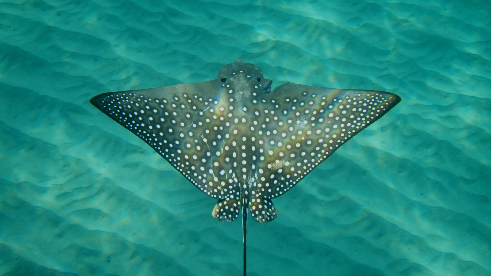 I Never Knew: April 2013