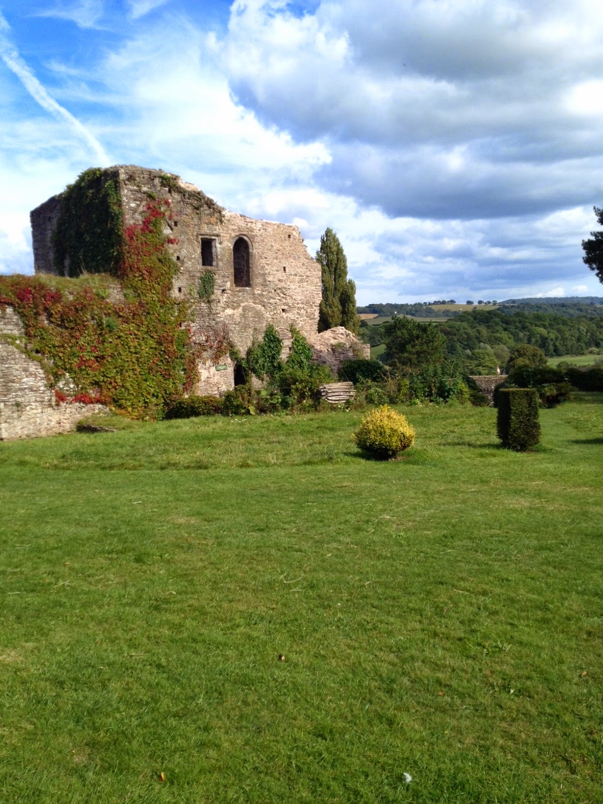 Feather On A Wire: Yesterday we went out again and stumbled on another ...