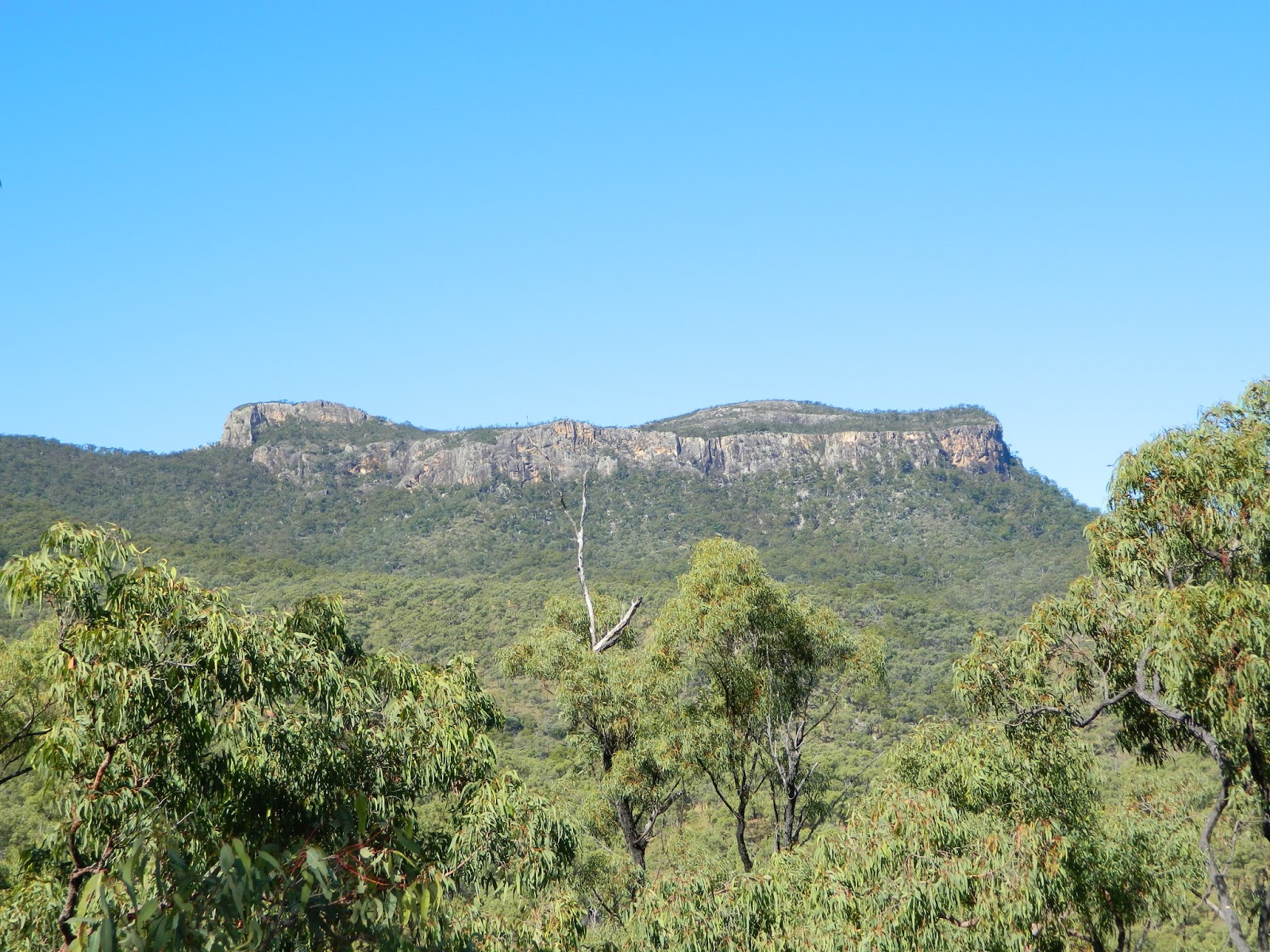 All Aussie Adventures: MOUNT BRITTON / HOMEVALE NATIONAL PARK