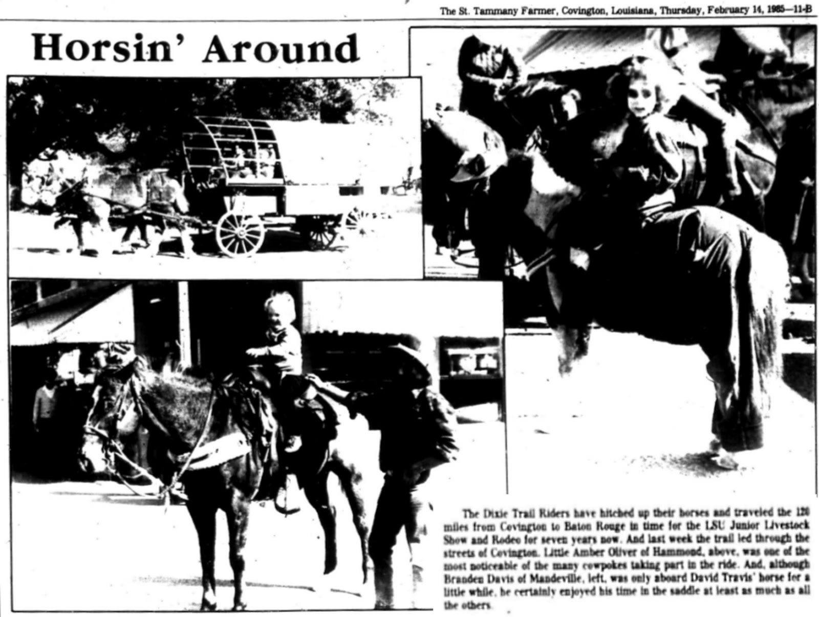 Tammany Family: Dixie Trail Ride