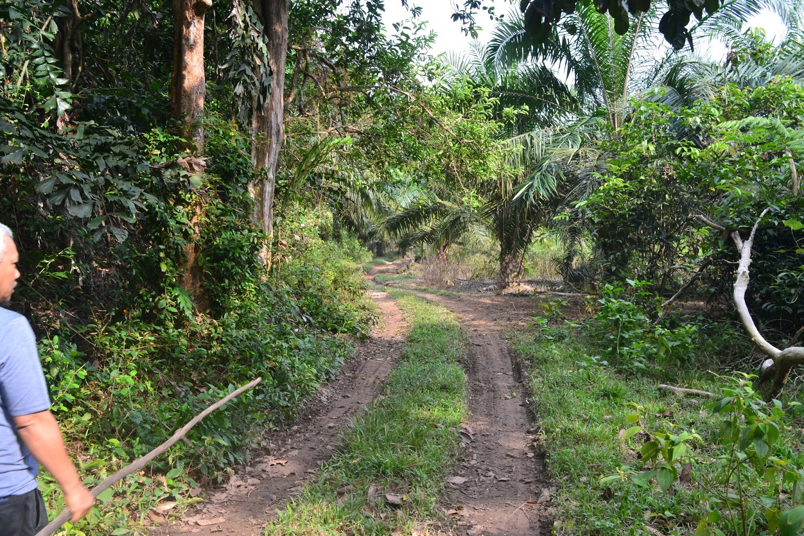 Tun Mamat dari Melaka ke Bukit Inas, Seri Medan
