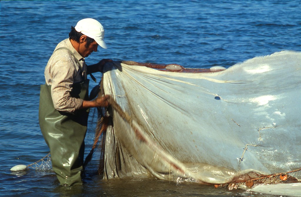 Marintimidades: A primeira galeota!...