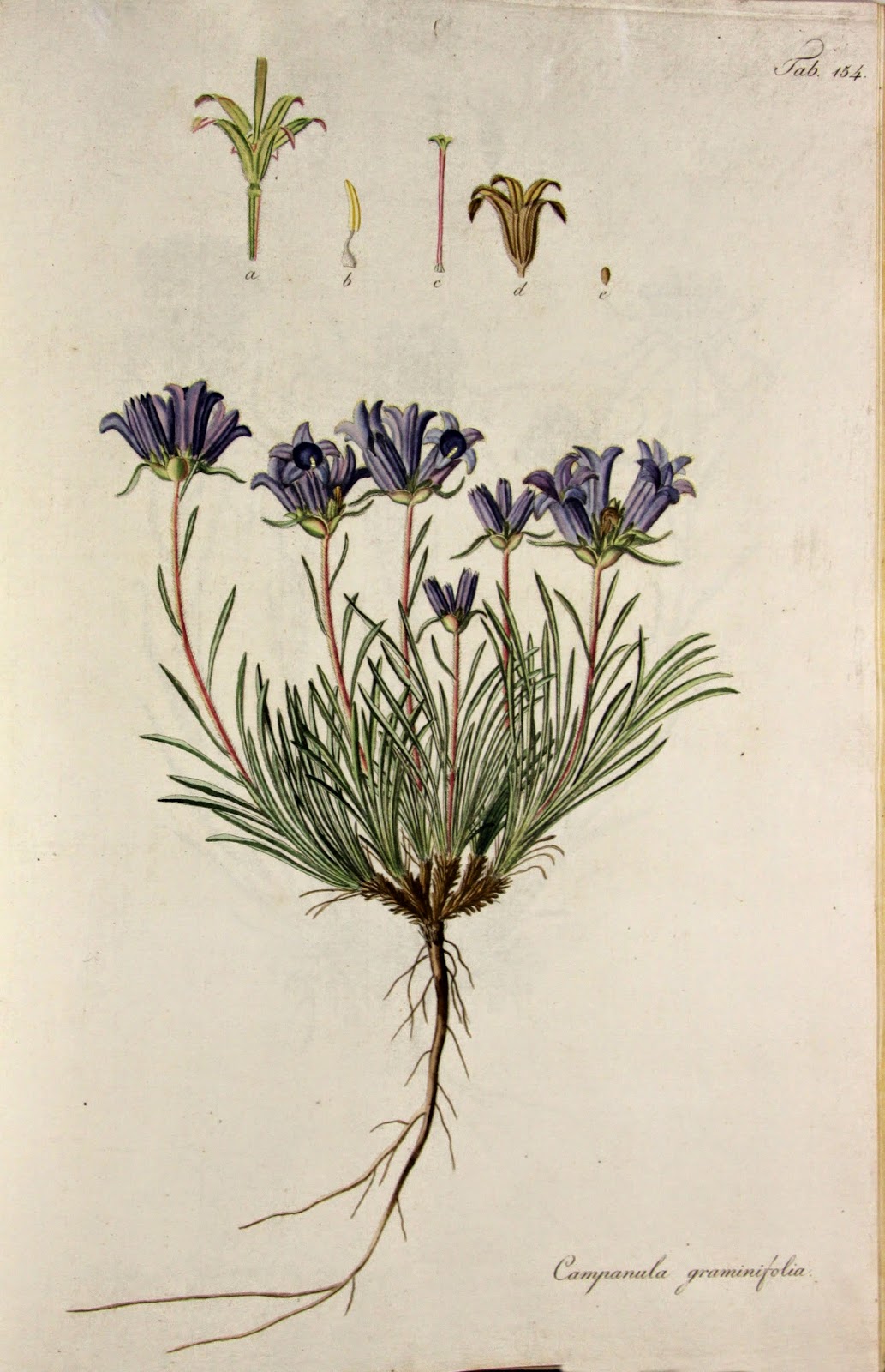 Blog de la Biblioteca General María Moliner de la UM.: julio 2014