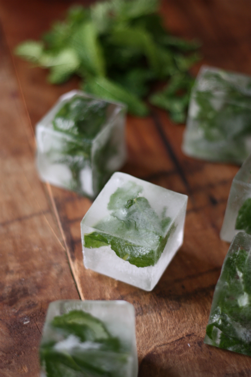 How To: Mint Infused Ice Cubes | 17 Apart