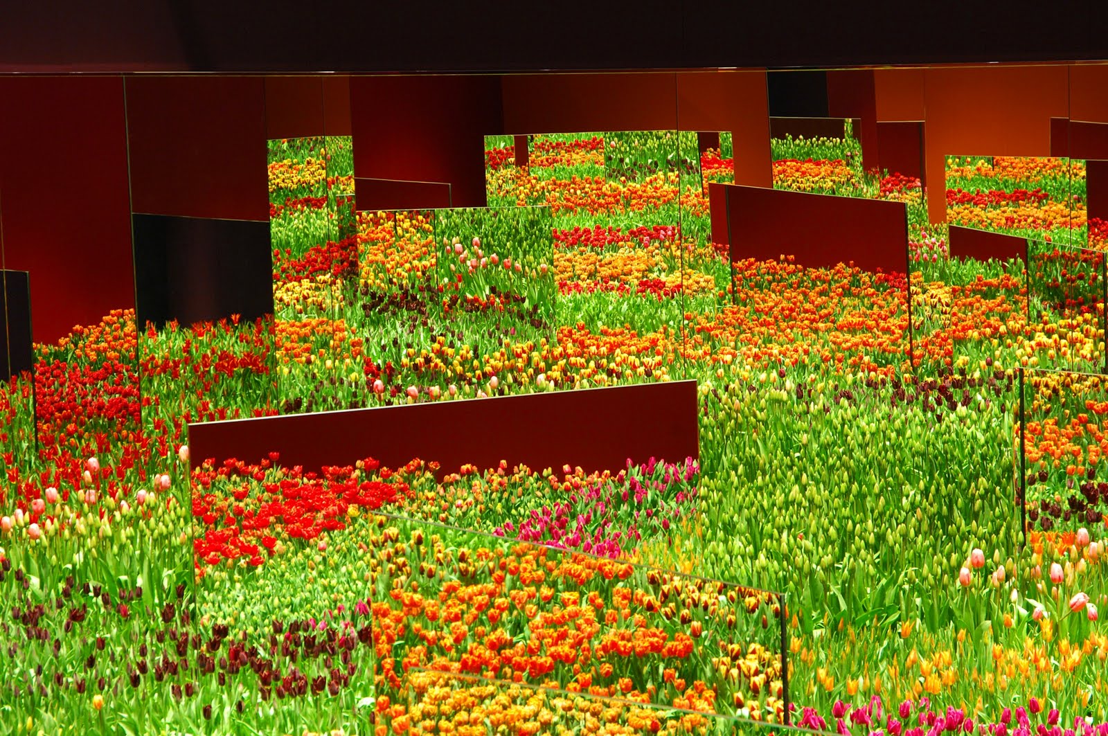 dream gardens: Giardina Zürich 2011