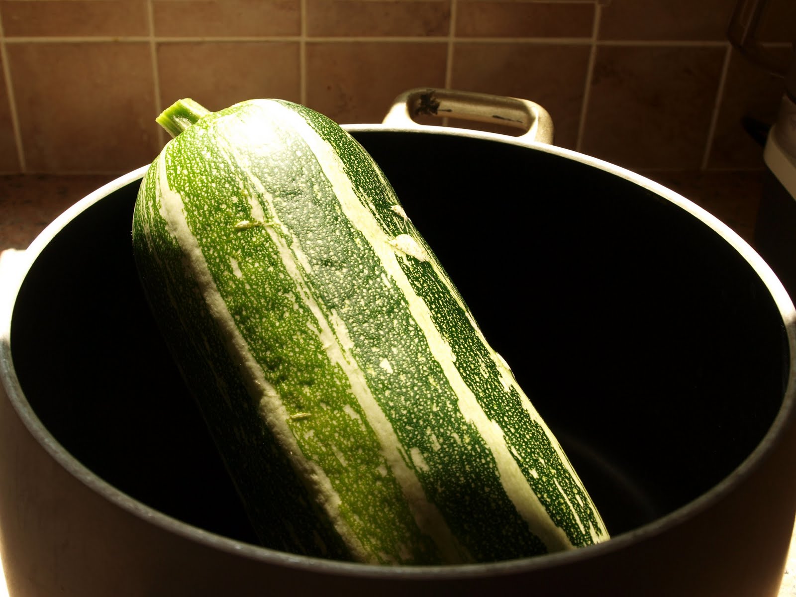 Mark's Veg Plot: Marrow "Bush Baby"s first fruit