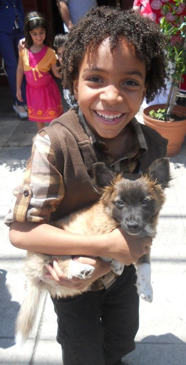 Thinking Pink: Pinky's Fandance - Terrell Ransom, Jr.